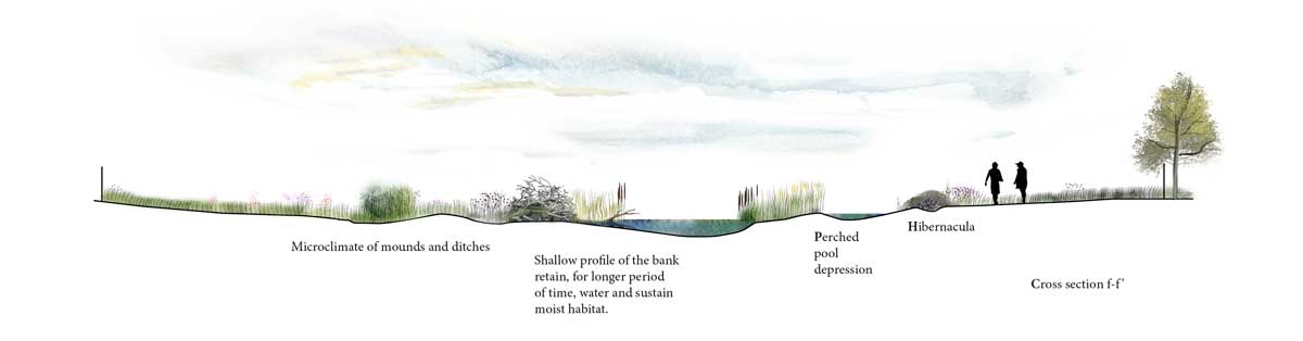 Our design ethos - Design With Nature